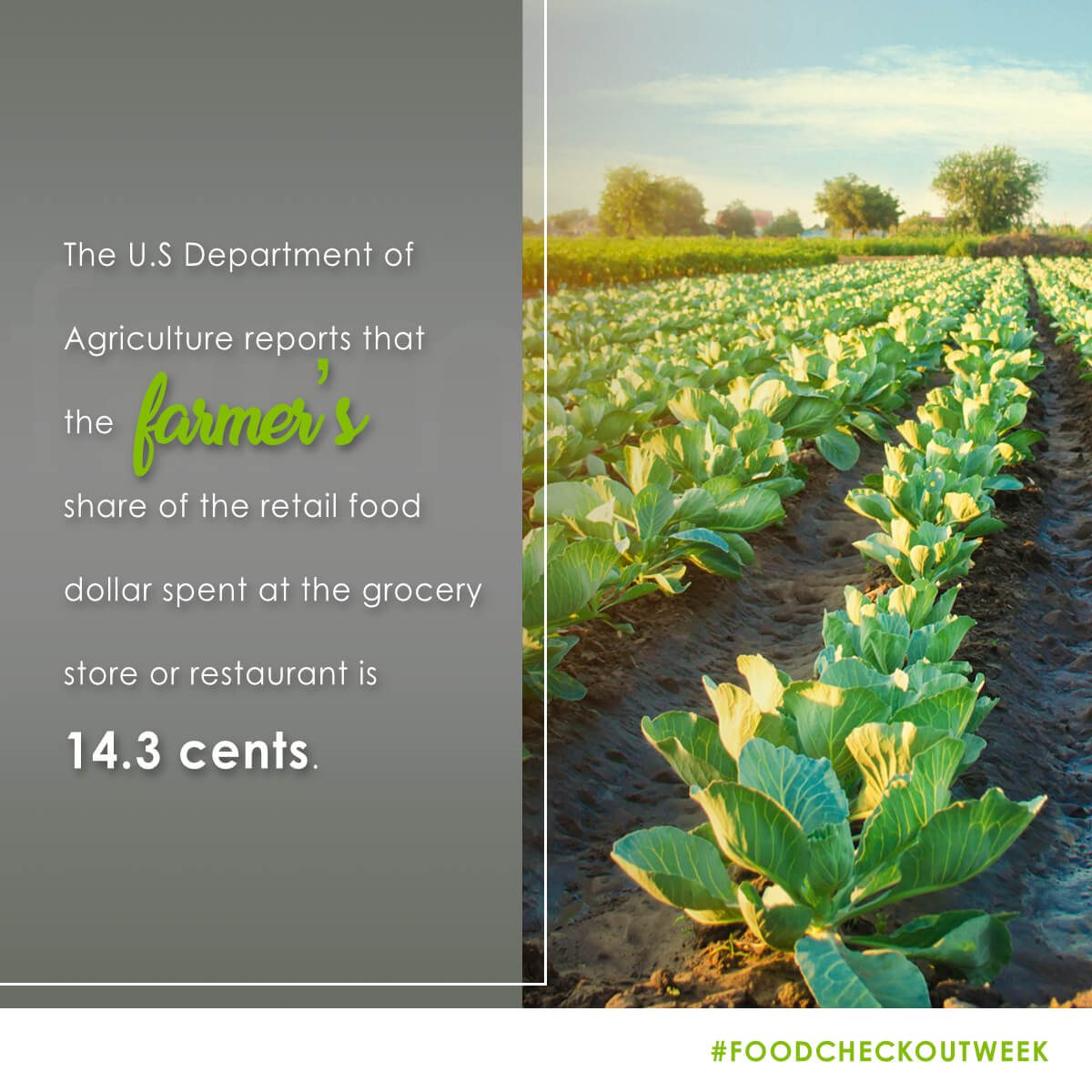 Food Check-Out Week - Florida Farm Bureau